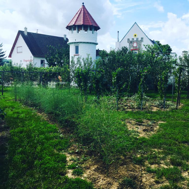 Familie Merkel in Gundersheim - Gartenführer Rheinhessen